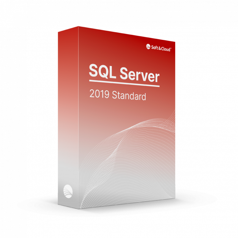 Microsoft SQL Server 2019 Standard usado